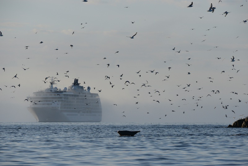 Mal’Minskiy Islands and Fyodora Bay – Caroline and Stephen
