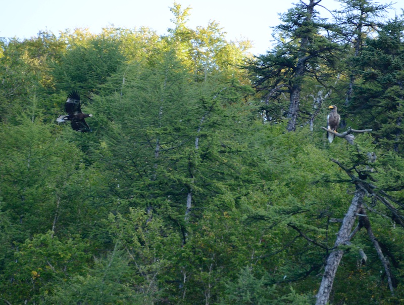 Mal’Minskiy Islands and Fyodora Bay – Caroline and Stephen